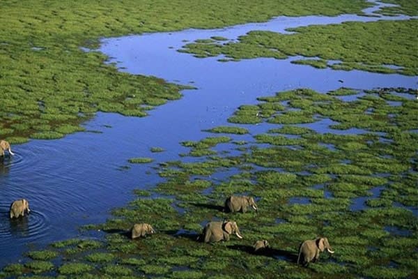 CODEV International - Institut de renforcement des capacités & Appui ...