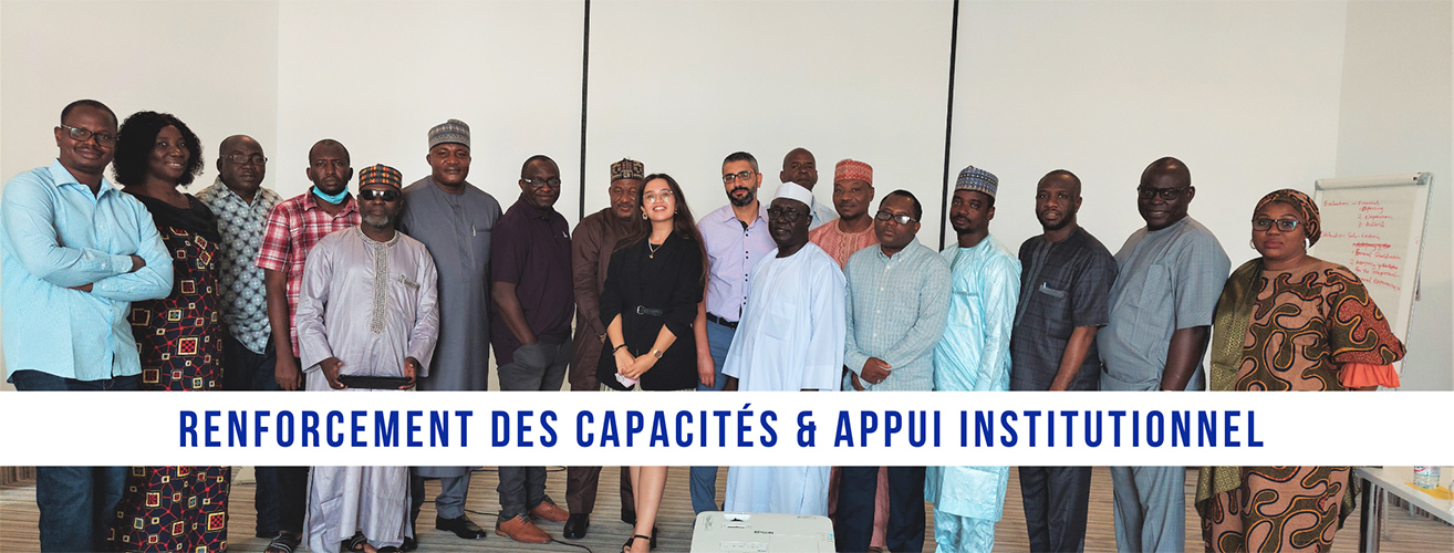 CODEV International - Institut de renforcement des capacités & Appui ...